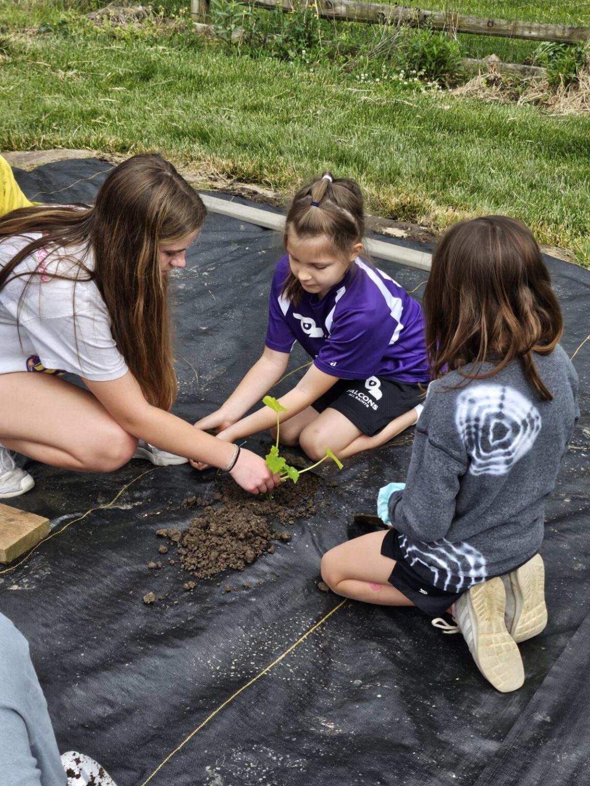 Parents & Families - All Saints Catholic School